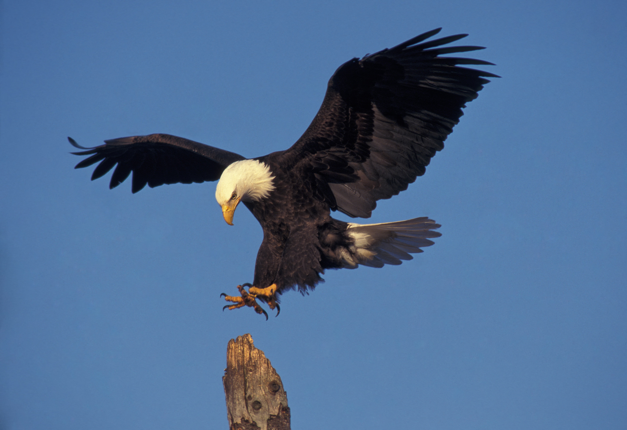 Becoming a CISO, Part 1: Landing the Right Position